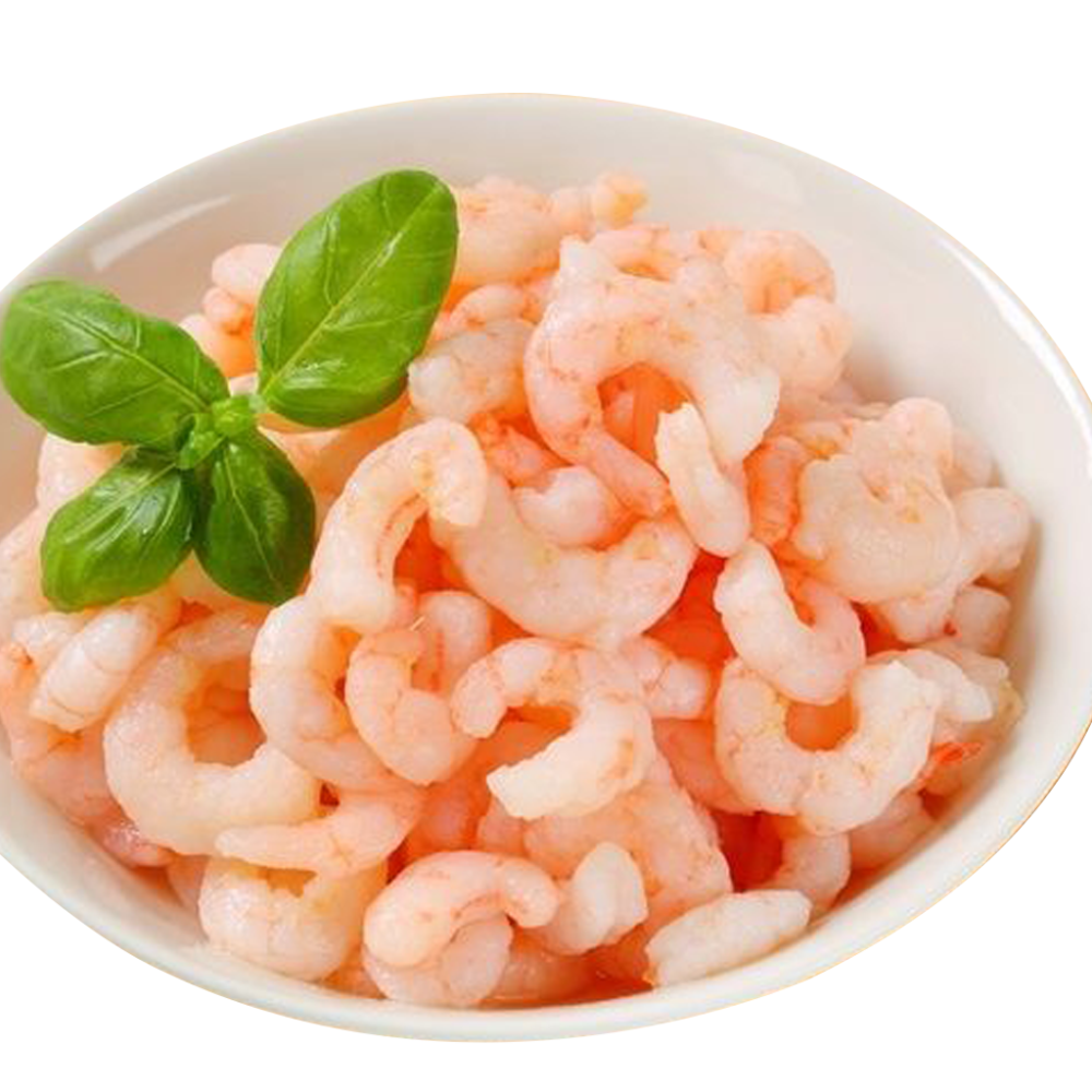 Fish - Porkipine